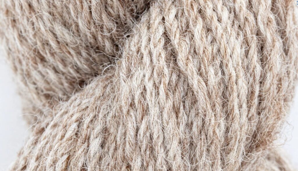 Ida the Shetland x Romney from Gullet Farm - DK wool - Yarn By The Water