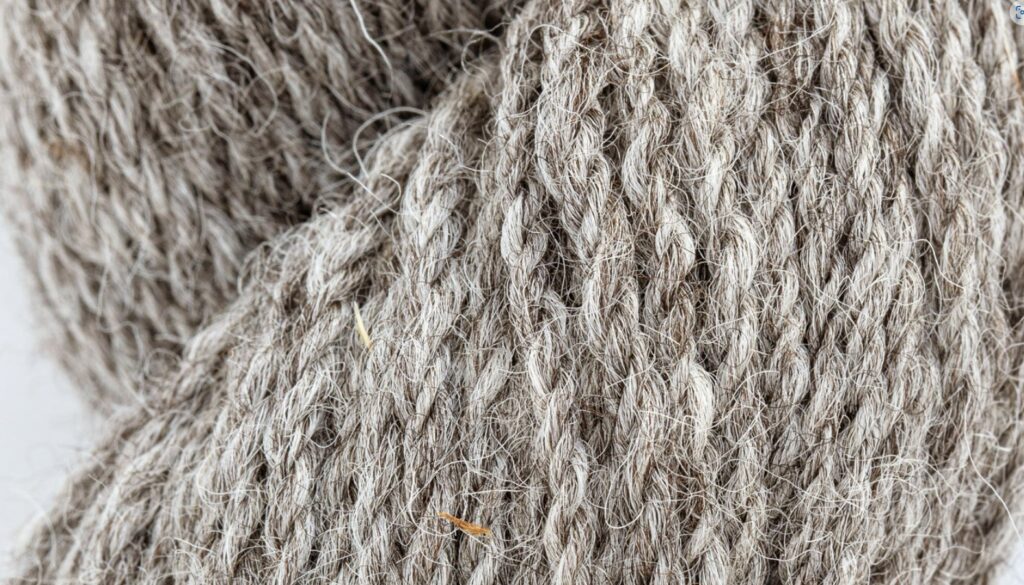 Ivy the Shetland x Romney from Gullet Farm - DK wool - Yarn By The Water